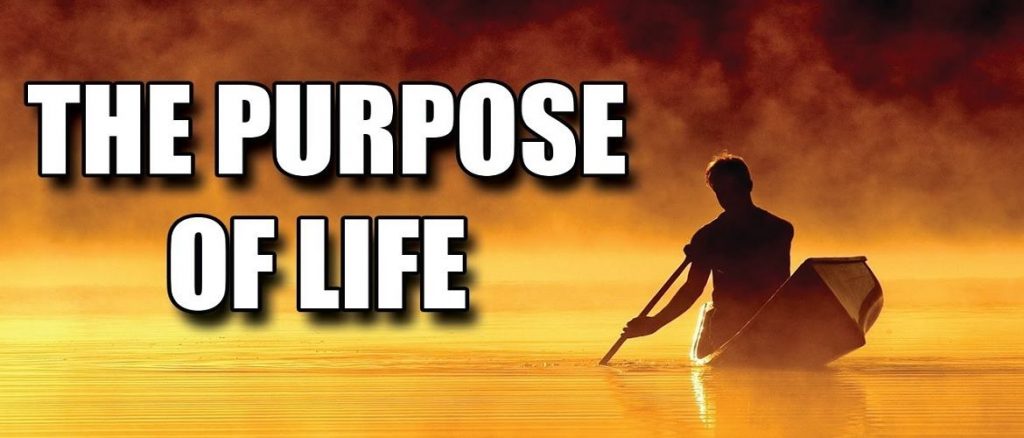 The Purpose of Life - The Choice